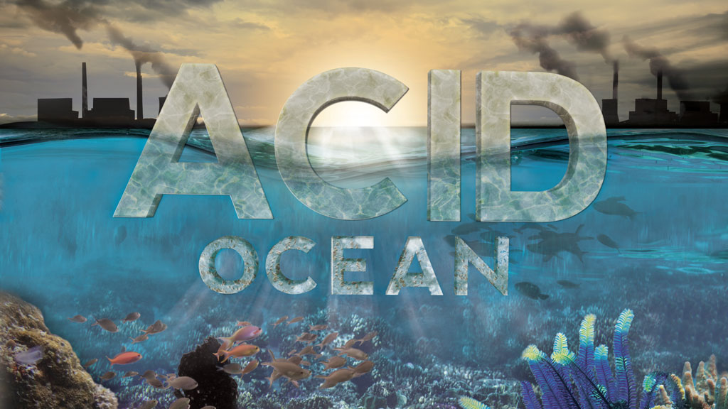 Acid Ocean - DocPlay