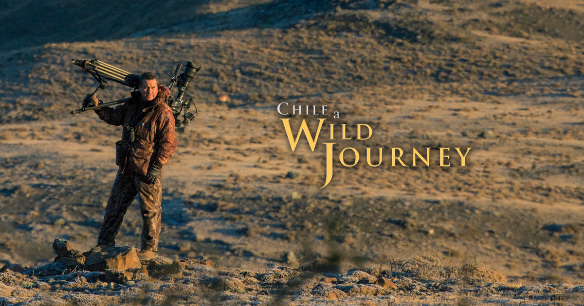 Chile - A Wild Journey - DocPlay