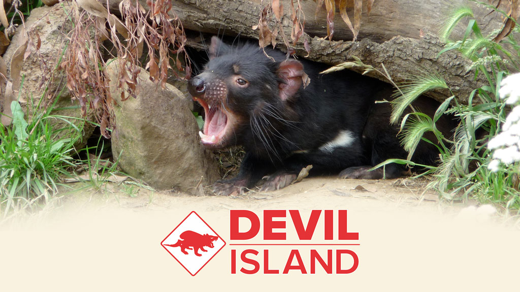 Devil Island - DocPlay