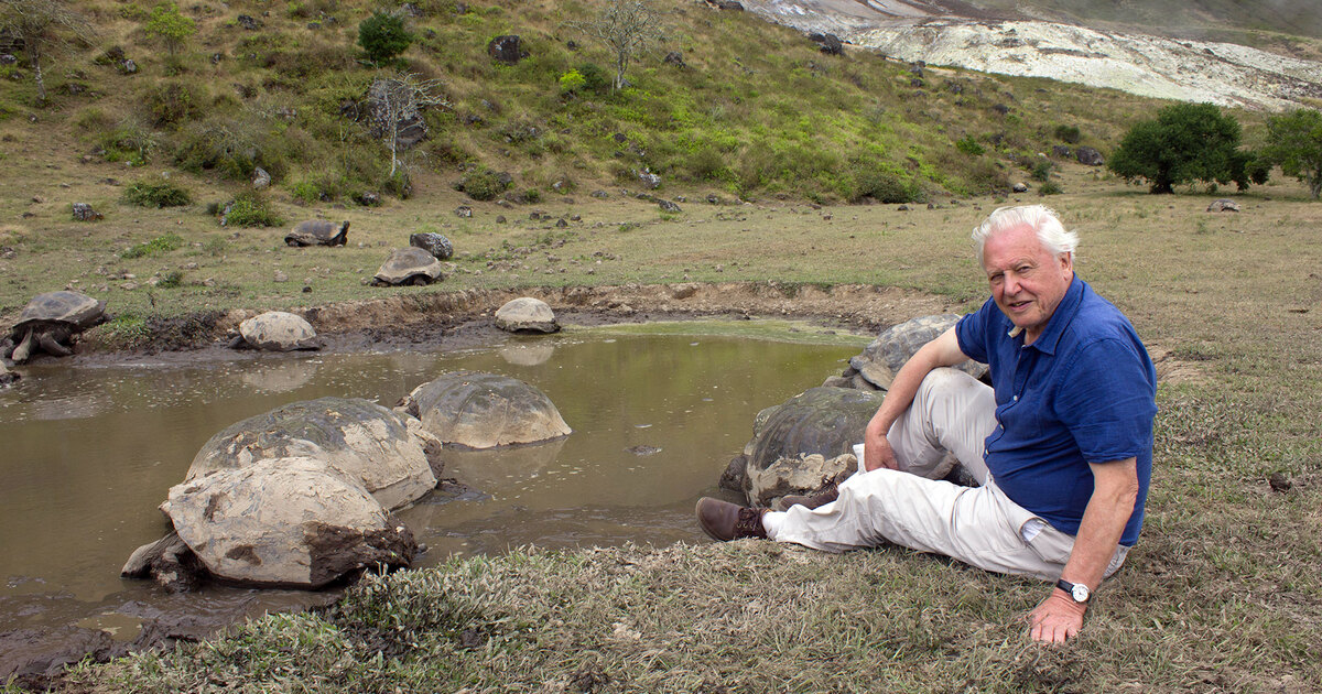 Galapagos with David Attenborough - DocPlay Galapagos with David Attenborough - DocPlay