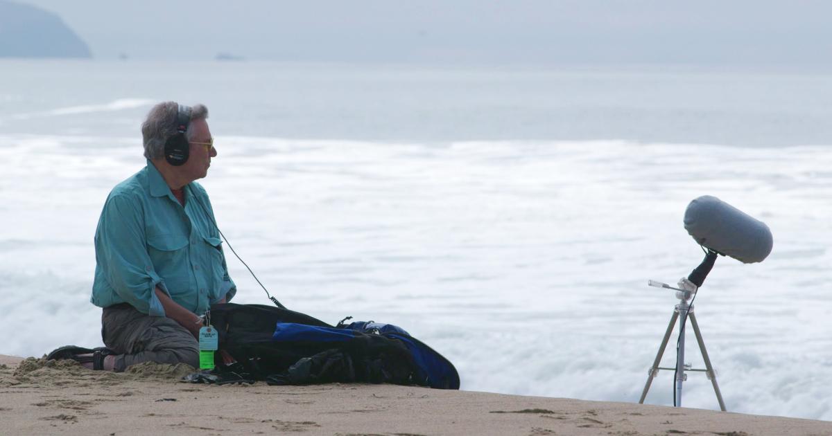 Making Waves: The Art of Cinematic Sound - DocPlay