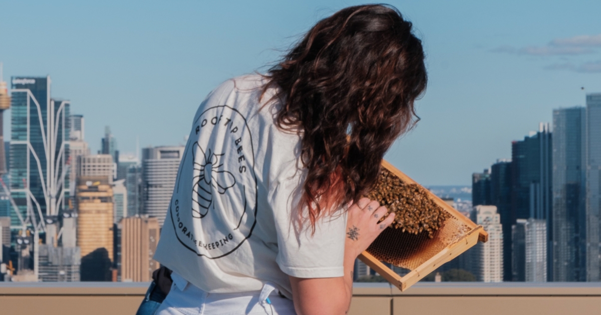 Messenger of the Bees - DocPlay