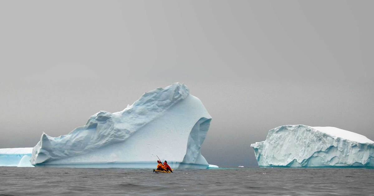 Terra Antarctica - DocPlay