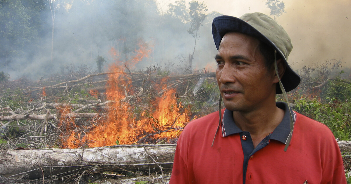 The Burning Season - DocPlay