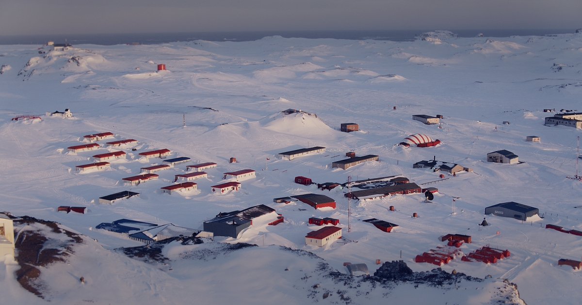 The Unknown Life of Antarctica - DocPlay